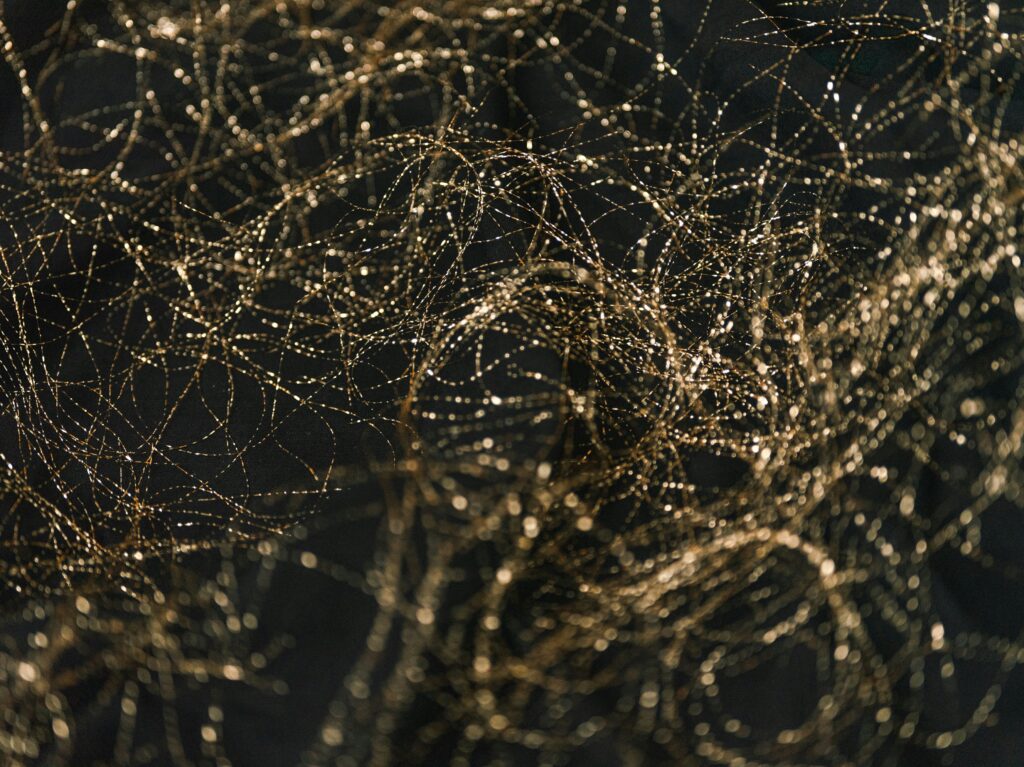 Your Nervous System: Understanding Reactions in Relationships ...